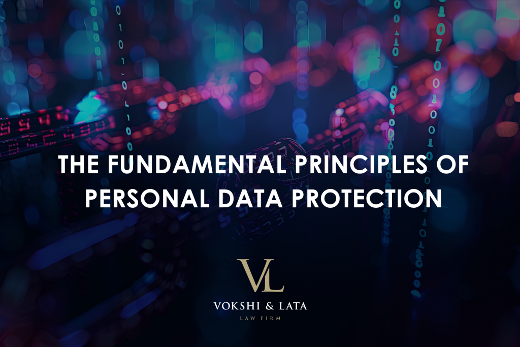 THE FUNDAMENTAL PRINCIPLES OF PERSONAL DATA PROTECTION - Vokshi & Lata ...